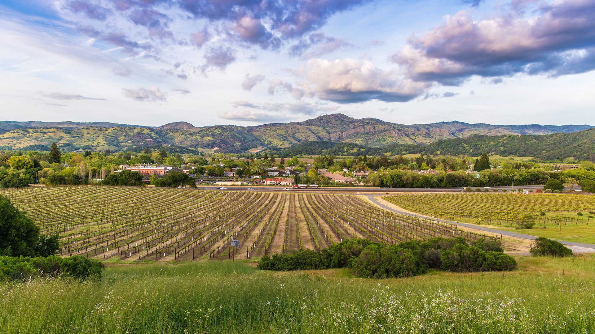 Yountville Chamber: 2022 Business & Community Award Winners ...